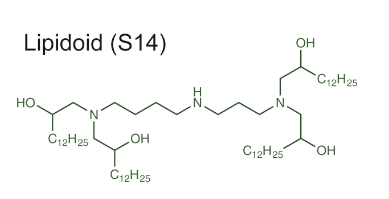 Lipidoid S14|siRNA delivery|DC Chemicals